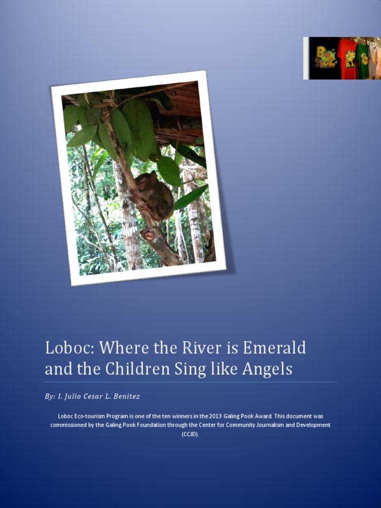 Loboc Case Study On Eco Tourism Governan | PDF | Tourism