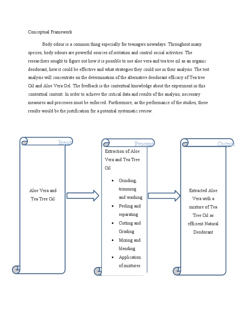 Conceptual Framework | PDF