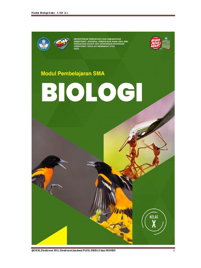 Kelas X - Biologi - KD 3.1 - Baru | PDF | Pengembangan Diri | Kesehatan ...