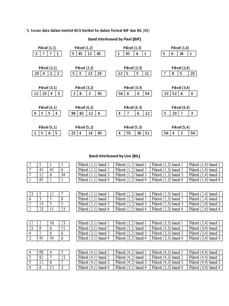 Convert BSQ to BIP and BIL Formats | PDF
