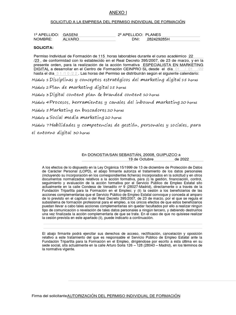 Solicitud Pif | PDF | Marketing | Business