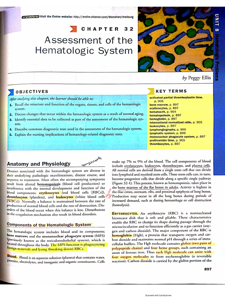 Chapter 32 Assessment of Hematologic System | PDF