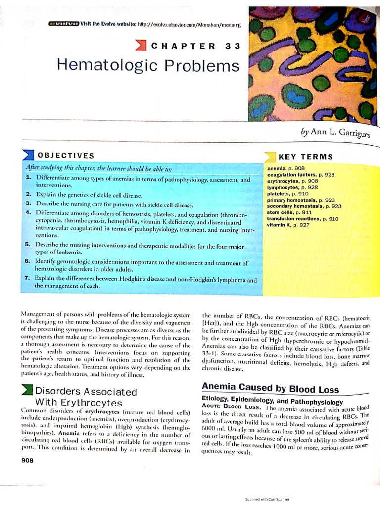 Chapter 33 Hematologic Problems | PDF