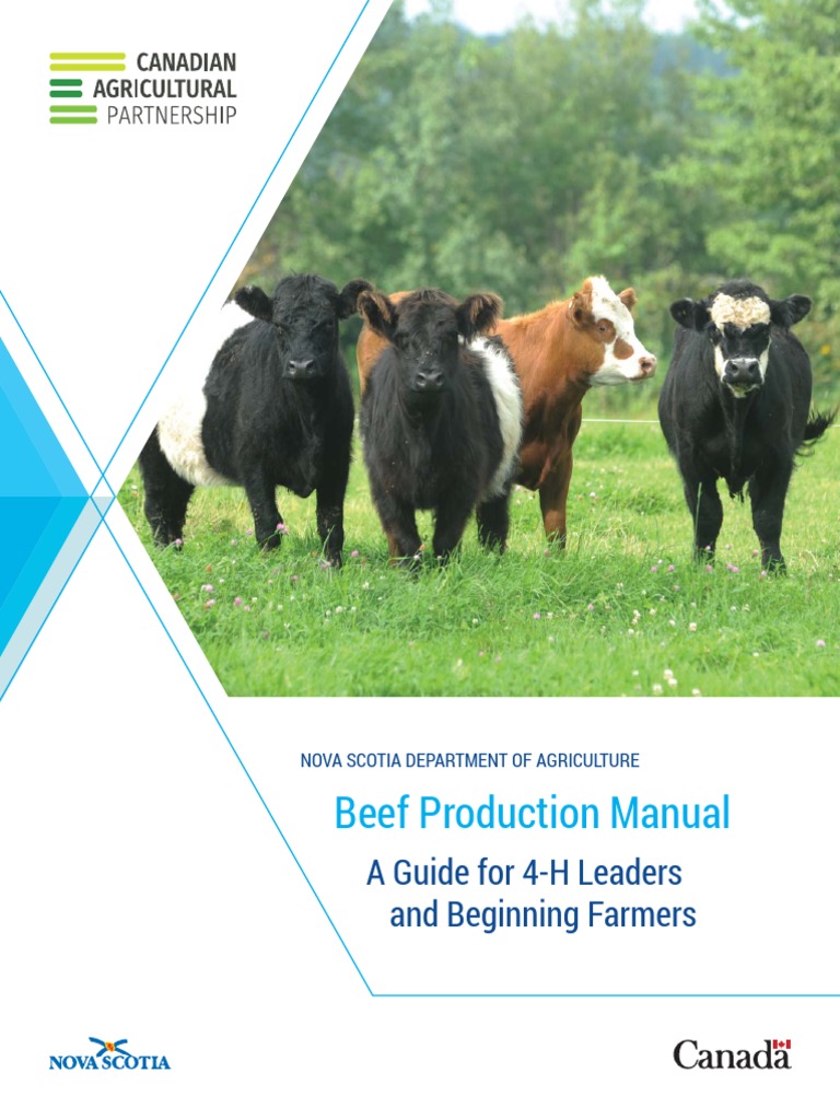 Manual Beef | PDF | Cattle | Grazing