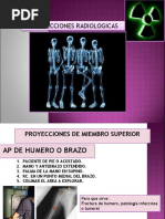 Posiciones Radiográficas del Codo y Mano | PDF | Mano | Codo