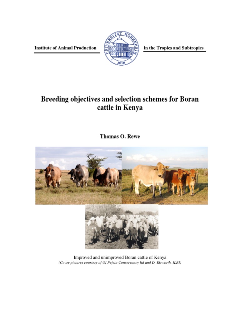 Breeding Plannc | PDF | Cattle | Pastoralism