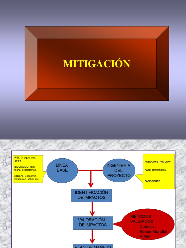 MITIGACION | PDF