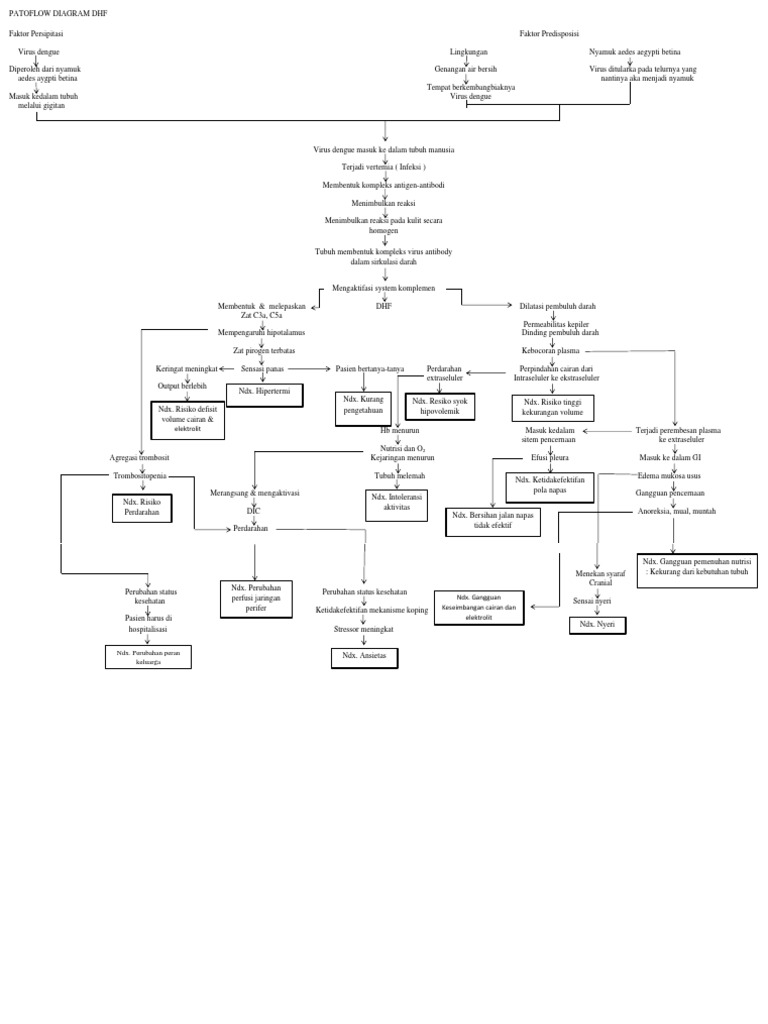 Diagram Patoflow DHF dan Faktor Risiko | PDF