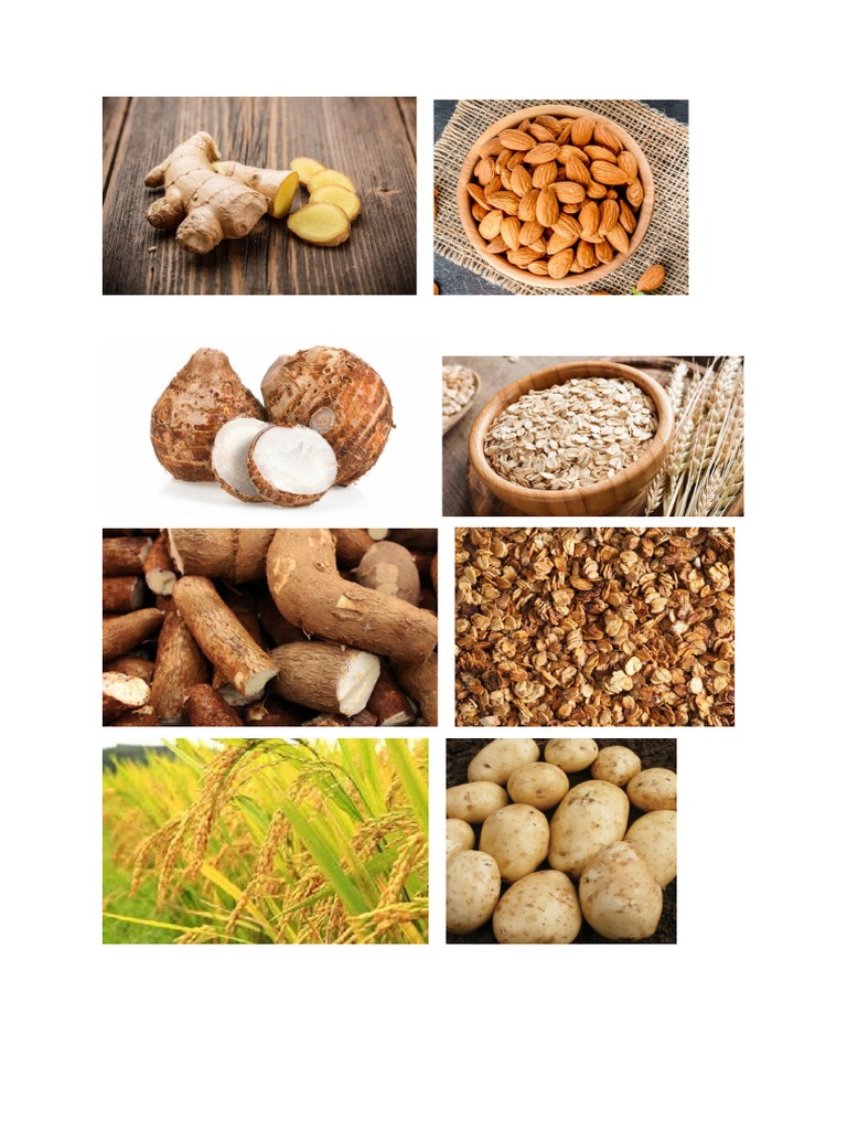 Kumpulan Gambar Biji Bijian | PDF