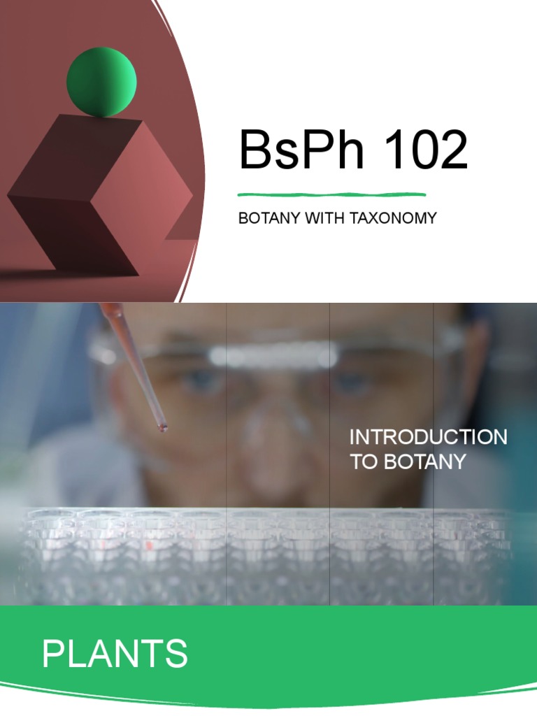 Introduction to Botany Basics | PDF | Plants | Scientific Method
