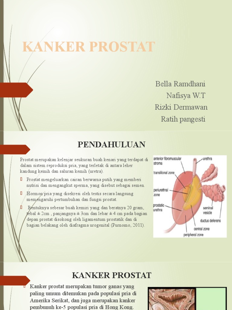 Kanker Prostat: Gejala dan Pencegahan | PDF