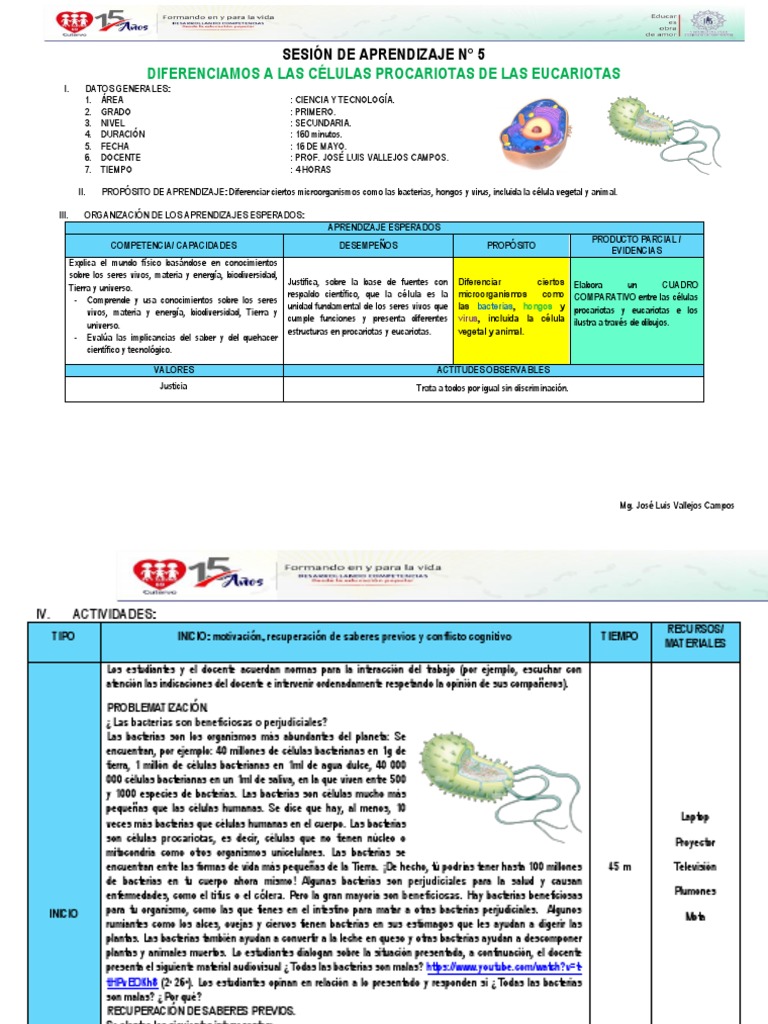 5 Sesión de Aprendizaje | PDF | Microorganismo | Las bacterias