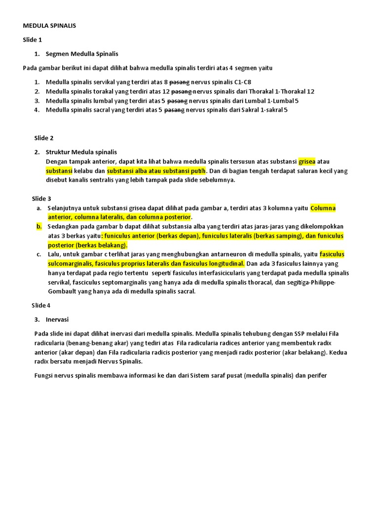 Struktur dan Segmen Medula Spinalis | PDF | Sains & Matematika