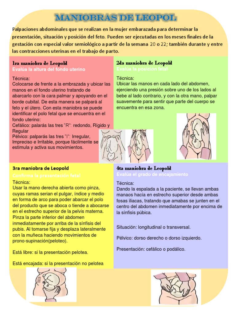 Maniobras | PDF | Pelvis | Parto