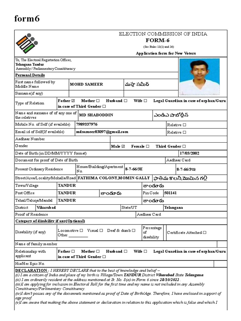 Form 6 | PDF | Human Rights | Accountability