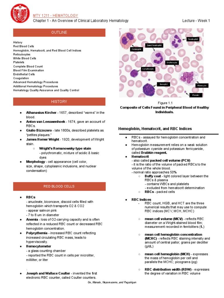 Hema Lec Compiled | PDF | Haematopoiesis | White Blood Cell