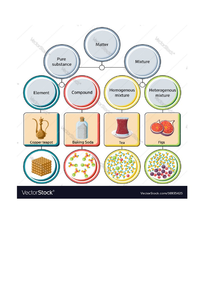 Science Project | PDF
