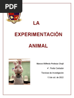 Pros y Contras del Testeo en Animales | PDF | Pruebas en animales ...