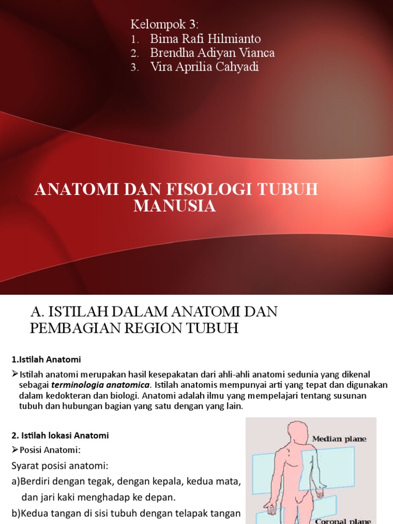 Anatomi Dan Fisologi Tubuh Manusia | PDF