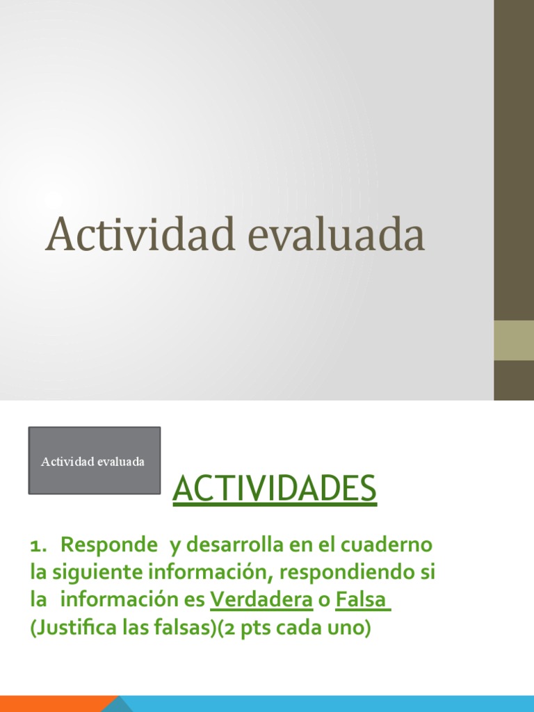 Actividad Evaluada | PDF