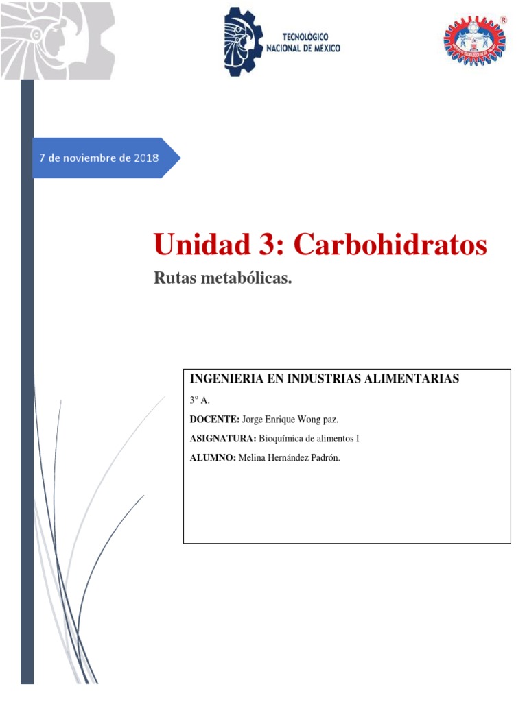 Rutas metabólicas de los carbohidratos | PDF | Dieta y nutrición | Química