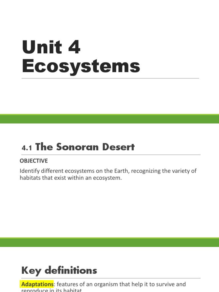 Unit 4 Ecosystems | PDF | Desert | Flowers