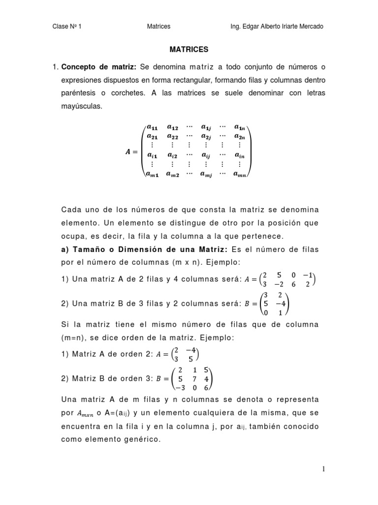 MATRICES Intro | PDF | Matriz (Matemáticas) | Ecuaciones