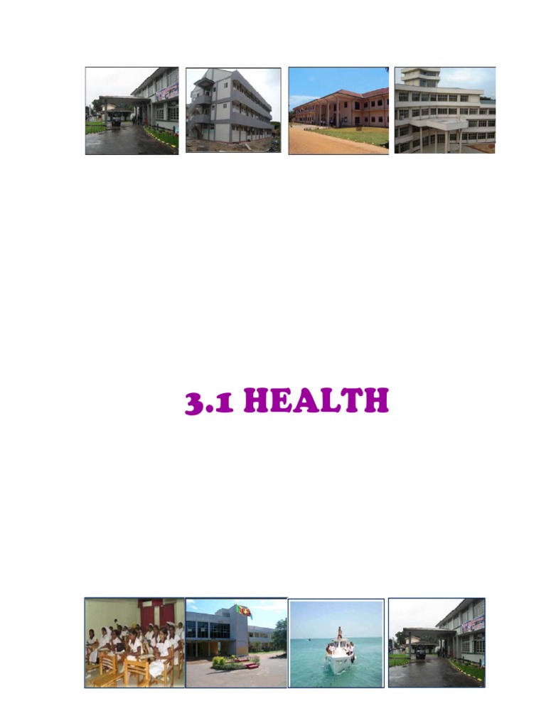 Health | PDF | Health Care | Hospital