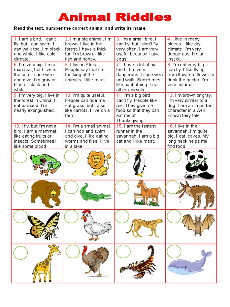 Animal Identification Activity: Matching Descriptions to Pictures | PDF ...