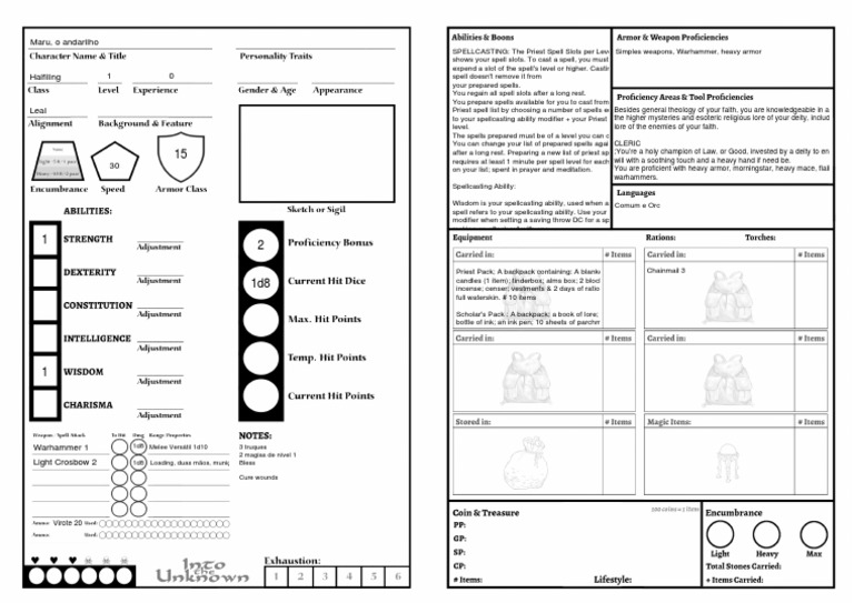 Into The Unknown - Character Sheet - A4 Fillable v2 | PDF