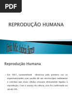 Estágios de Tanner no Desenvolvimento Masculino | PDF | Anatomia sexual ...