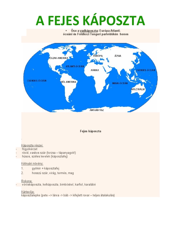 Fejes Káposzta | PDF
