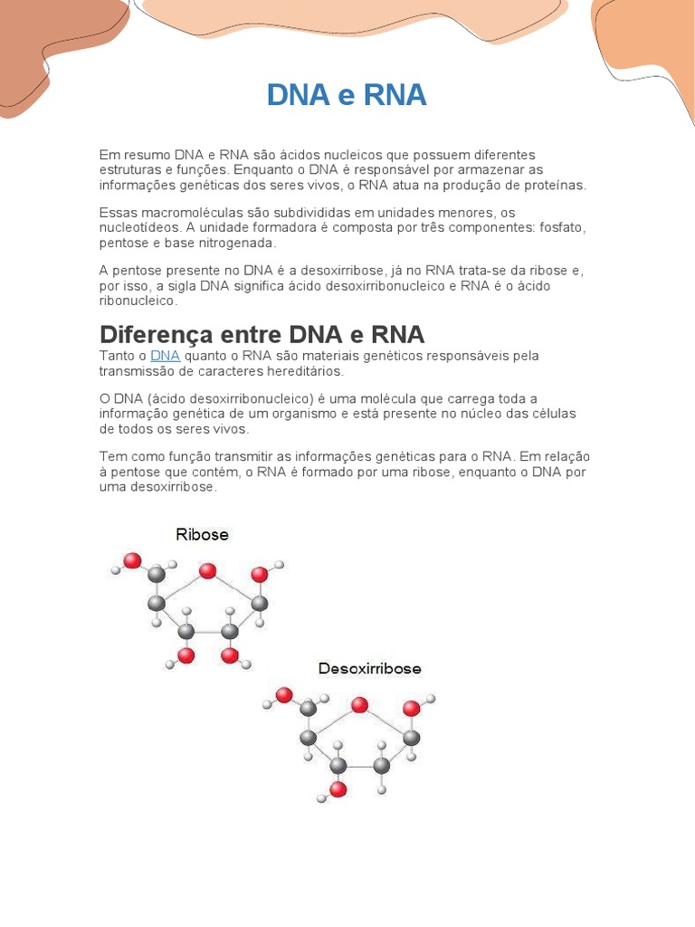 Dna e Rna | PDF | RNA | DNA