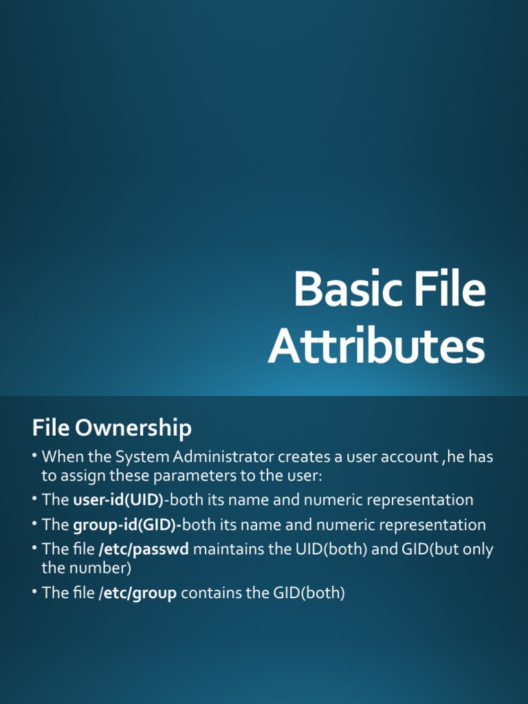 File Permission | PDF | Computer Architecture | Computing