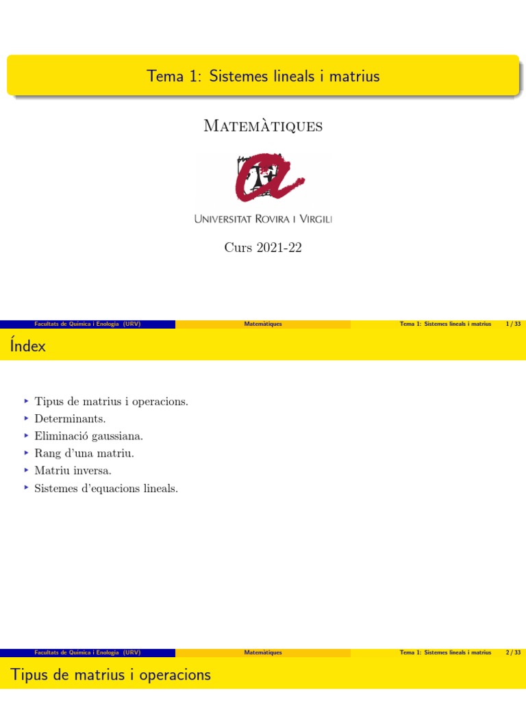 Tema 1 Matrius | PDF