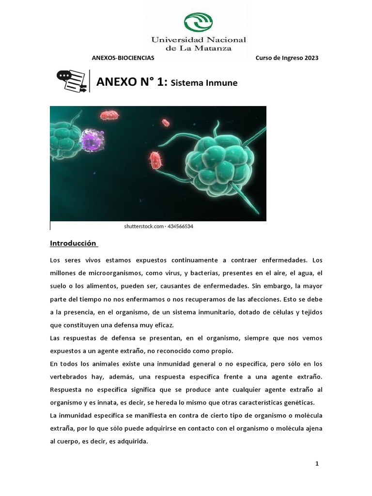 Anexo N - 1 Sistema Inmunitario | Descargar gratis PDF | Sistema inmune | Linfocitos