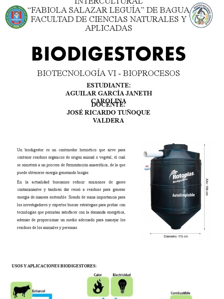 BIODIGESTORES | PDF | Biogás | Gas natural
