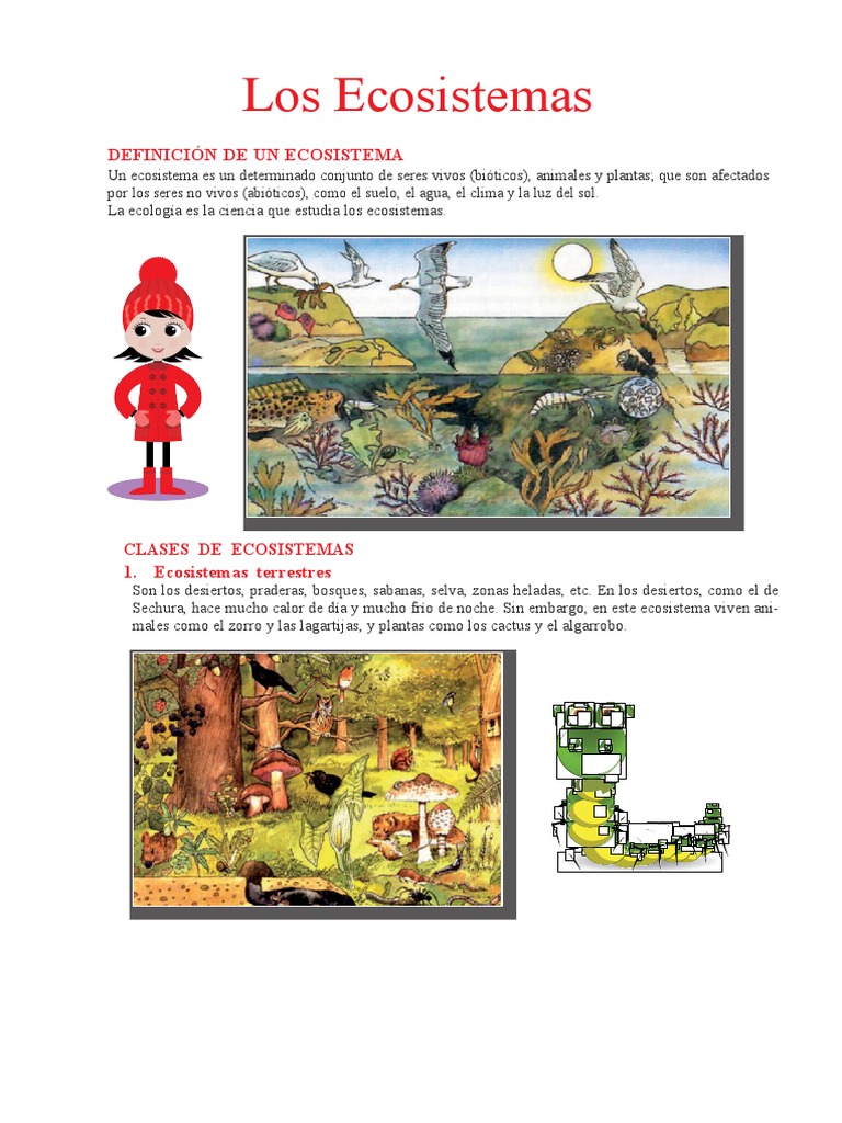 Los Ecosistemas para Segundo de Primaria | PDF | Ecosistema | Entorno natural