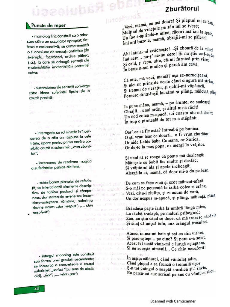 Romantismul Românesc | PDF