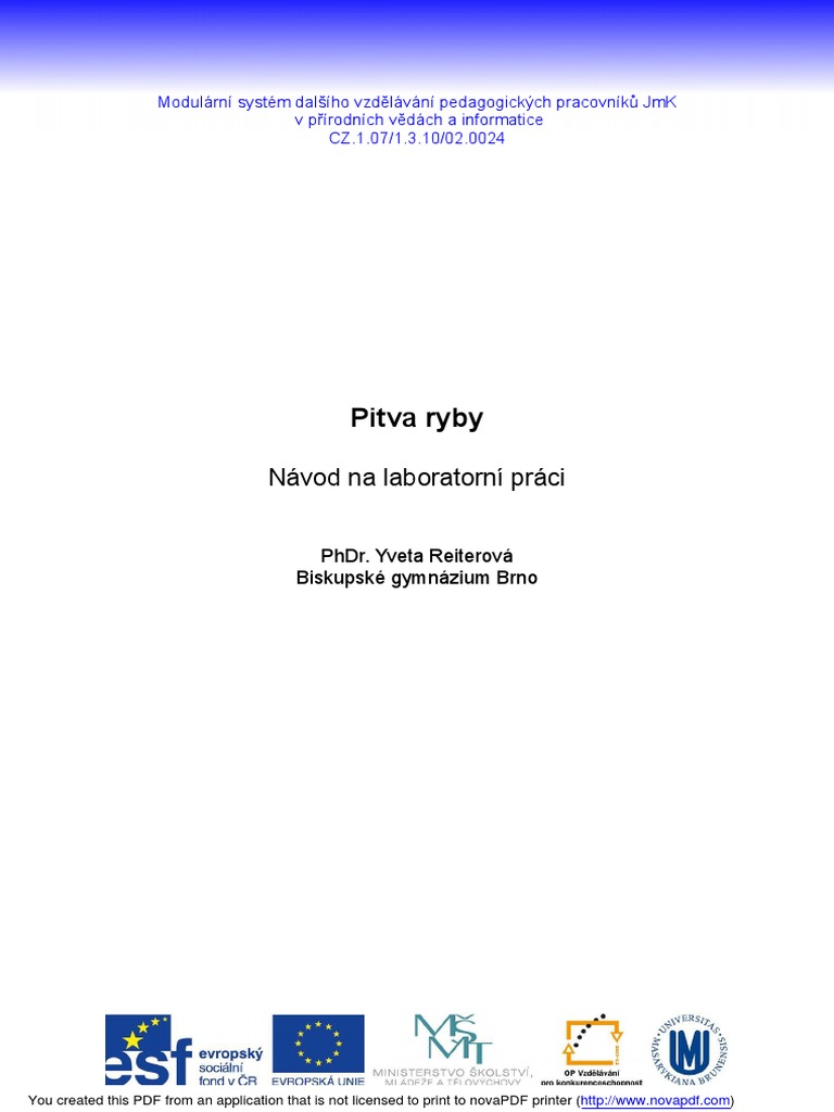 Pitva Ryby Protokol | PDF