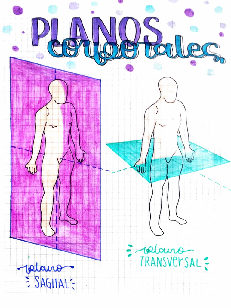 Planos Corporales | PDF