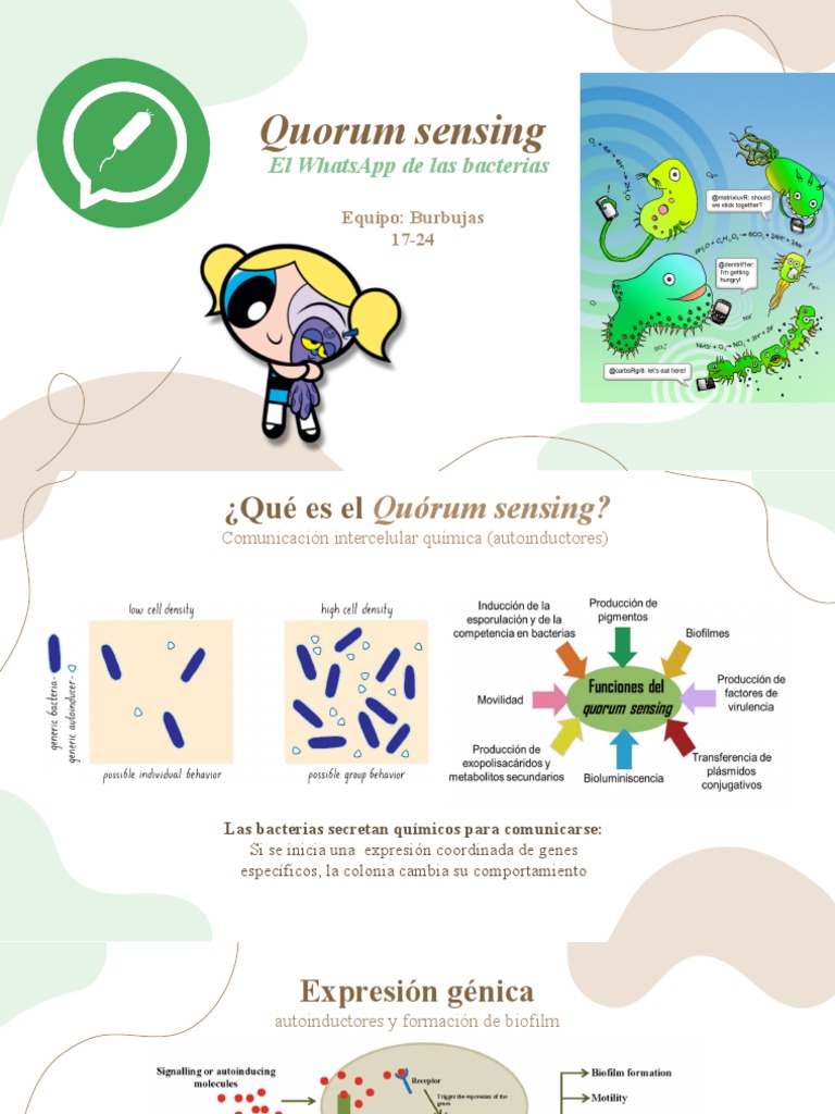 Quorum Sensing | PDF | Biopelícula | Biología Celular