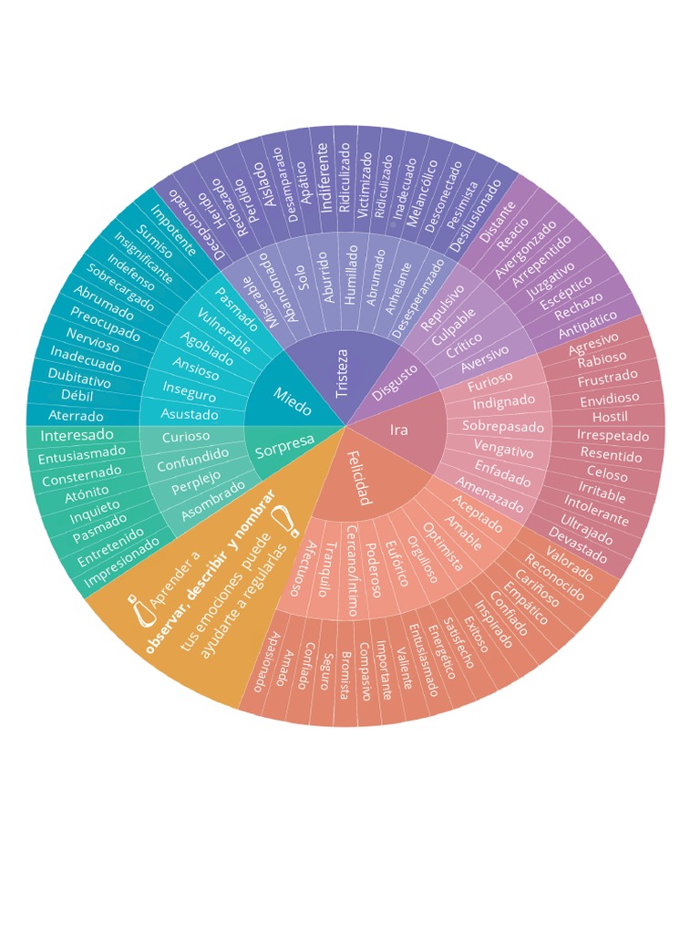 Rueda de Las Emociones | PDF