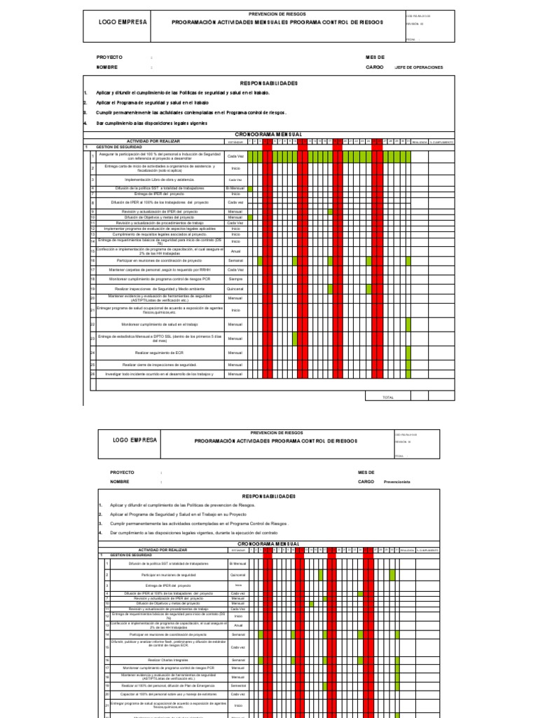 Modelo Programa Mensual de Actividades de Prevención Por Cargo | PDF | Seguridad y salud ocupacional