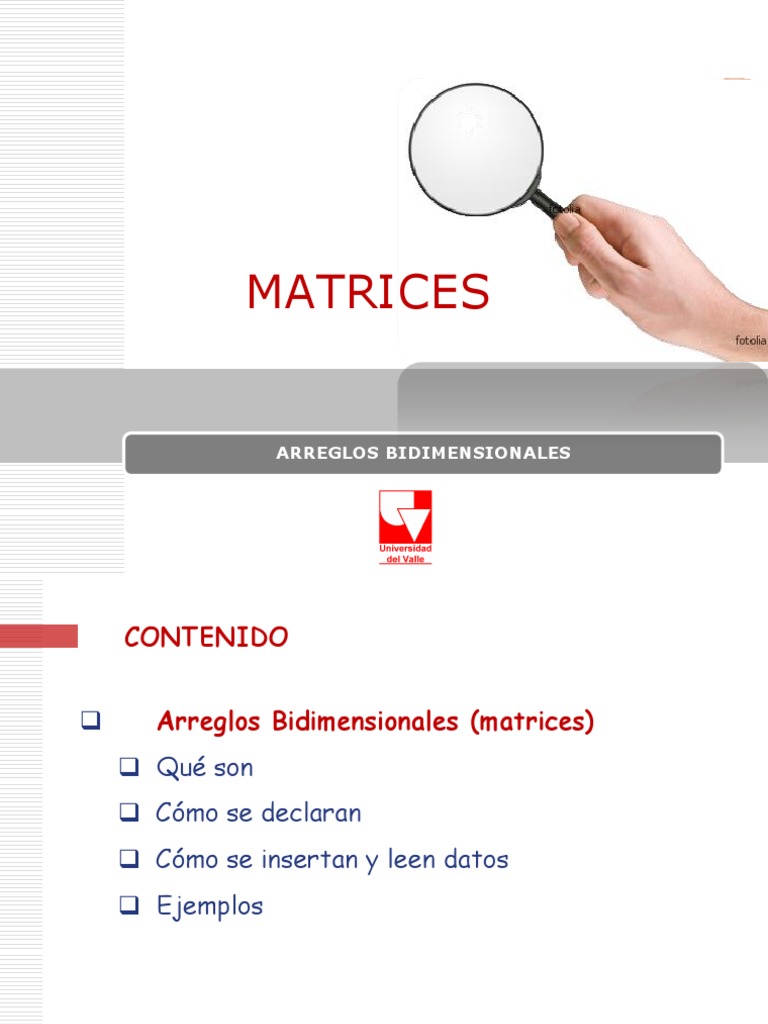 Arreglos Bidimensionales | PDF | Matriz (Matemáticas) | Estructura de ...