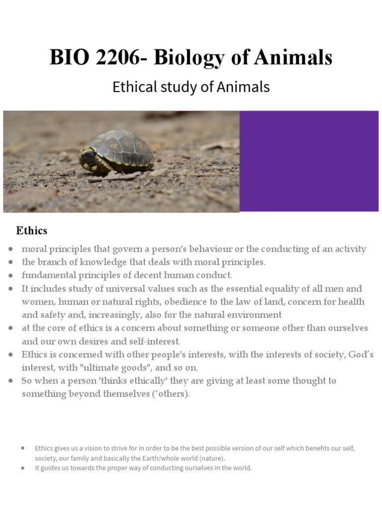 Animal Ethics | PDF | Animal Welfare | Applied Ethics