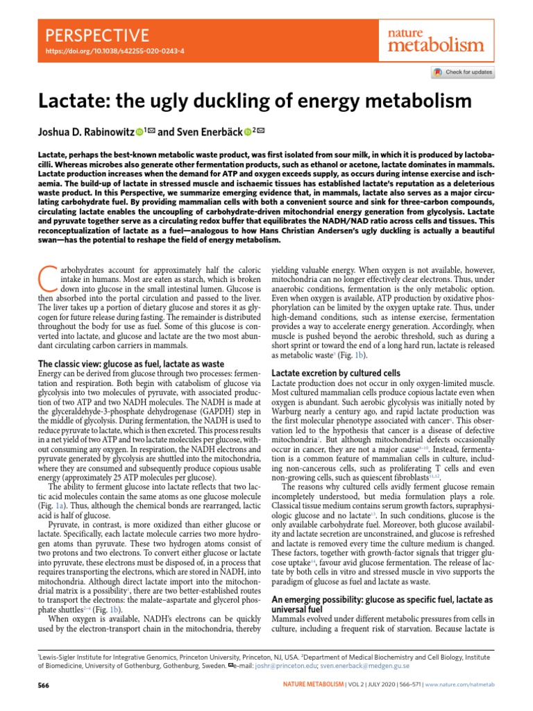 2020 - Lactate The Ugly Duckling of Energy Metabolism | PDF | Lactate ...