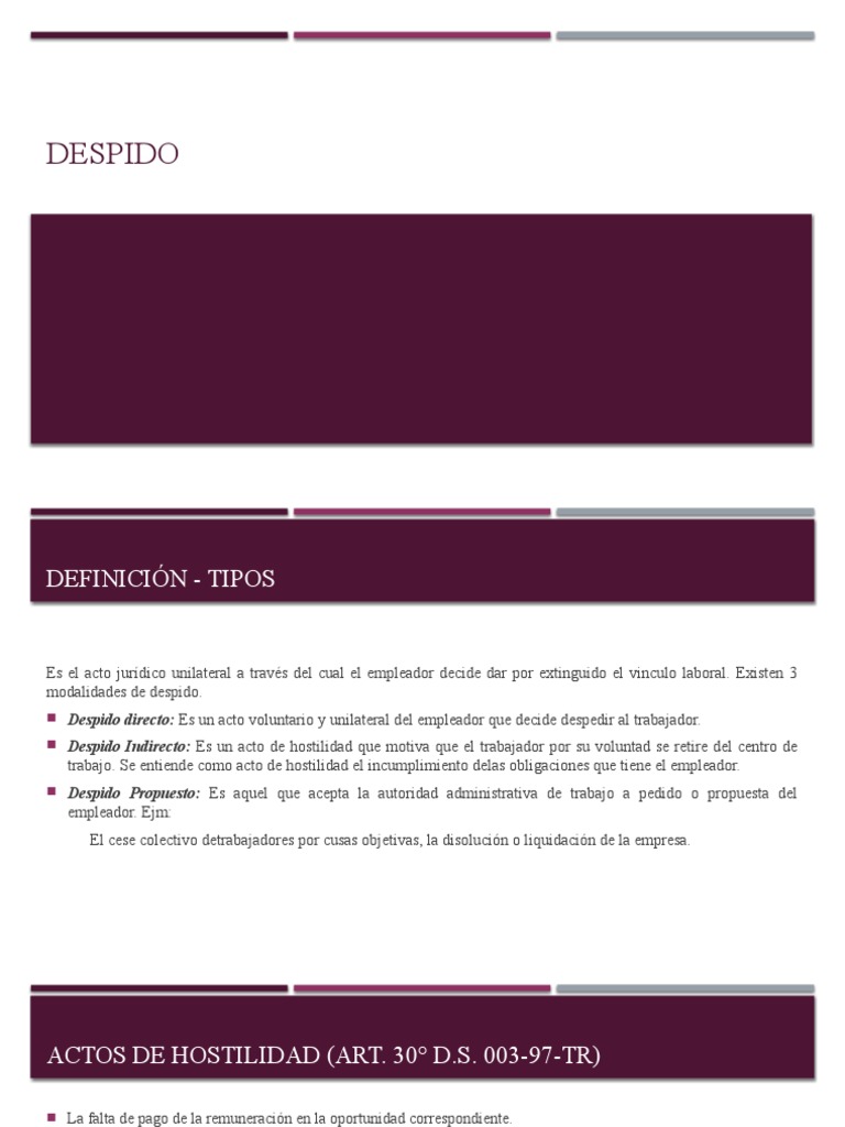DESPIDO | PDF | Derecho laboral | Discriminación