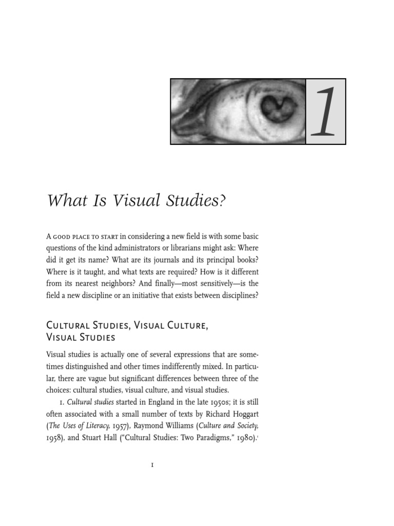What Is Visual Studies | PDF | Interdisciplinarity | Art History