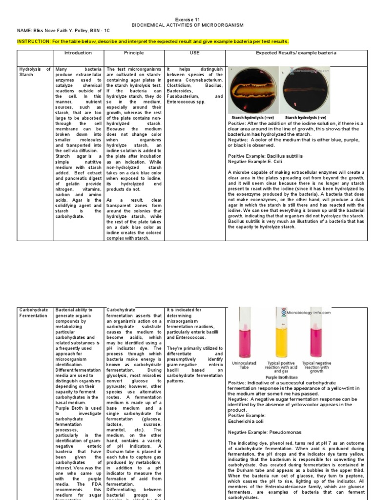 Biochemical Tests For Bacteria. | PDF | Nitrate | Nitrite